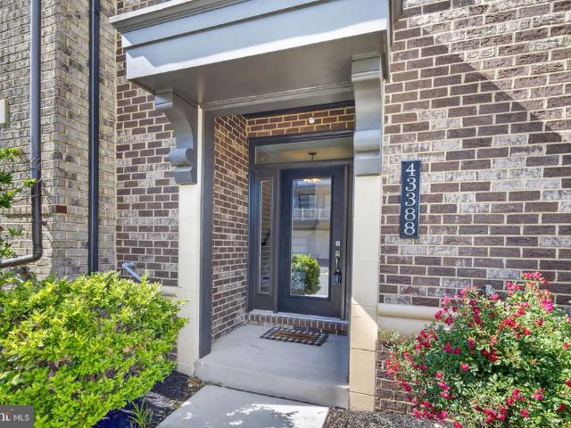 43388 Whitehead Terrace