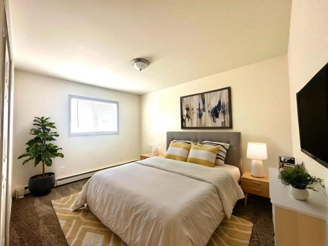 4338 N Chestnut St. 3 Bedroom Apartment for Rent at 4338 N Chestnut St, Colorado Springs, CO 80907 Holland Park