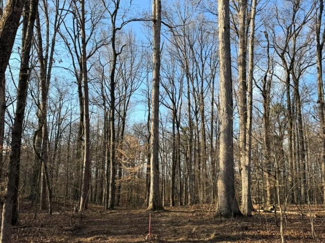 4339 Sevierville Rd, Unit LOT 3, Maryville, TN 37804 | Compass
