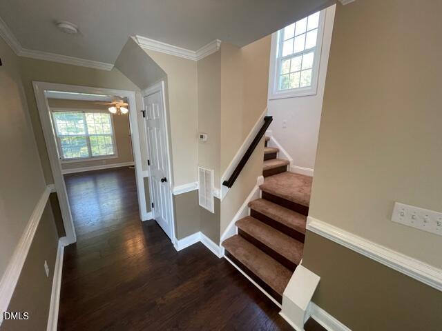 433 Holly Thorn Trace