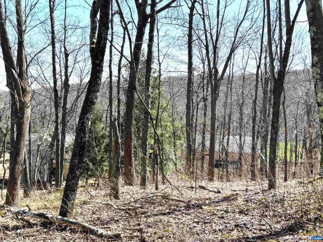 433 Laurel Springs Dr # PRYORS CAMP 2, LOT 1