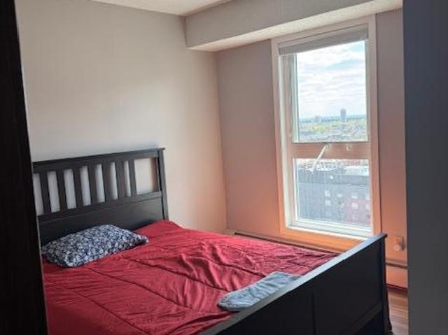 433 S 7th Street # 1527