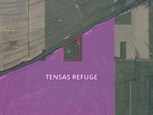 433 Sharkey Rd, Tallulah, LA 71282