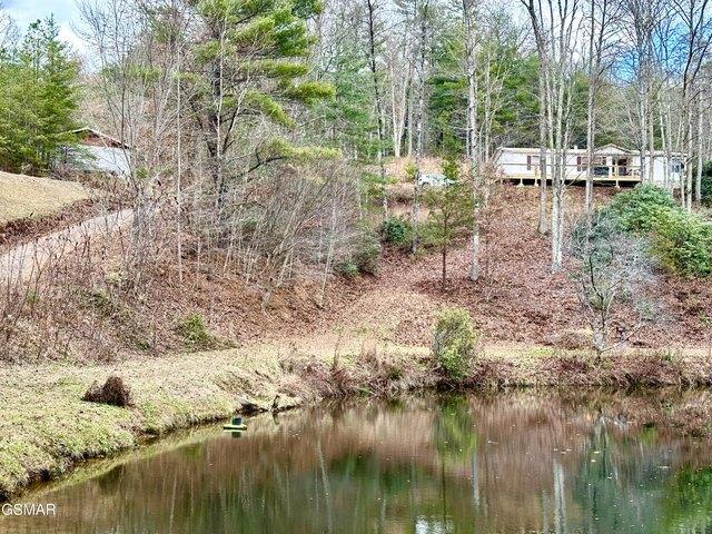 4346 Henry Town Rd, Sevierville, TN 37876