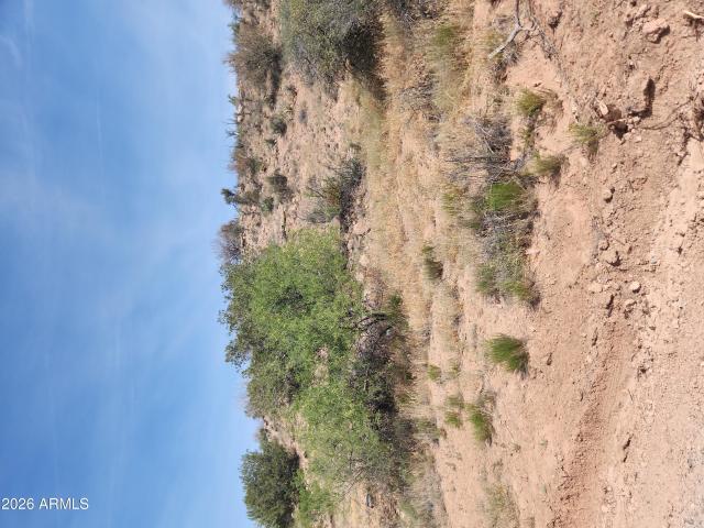 4340 E COYOTE Canyon # 55