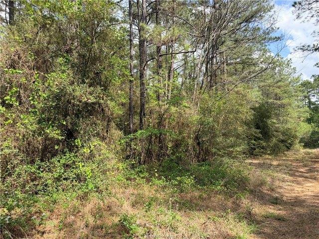 4341 and 4365 N Oaks Dr, Navasota, TX 77868