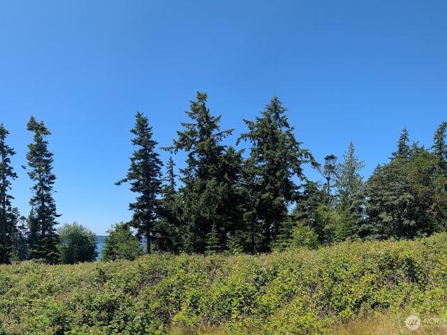 4343 appx S Camano Drive