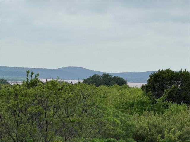 434 Indigo Bush, Graford, TX 76449 | MLS #21227