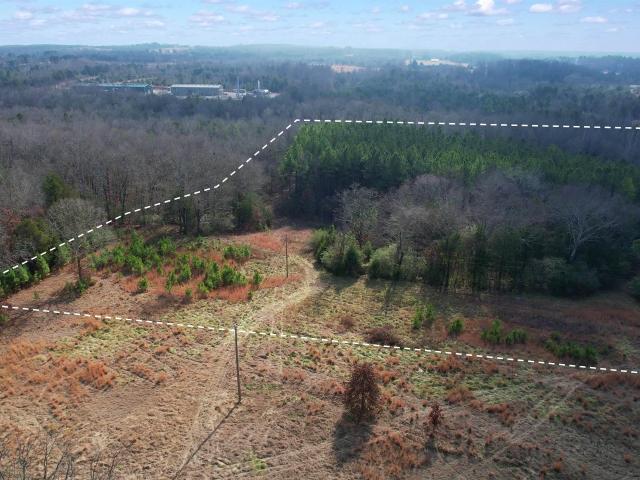 434 Pumpkin Center Circle