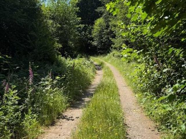 434 W Bulb Farm Rd Lot 2, Shelton, WA 98584