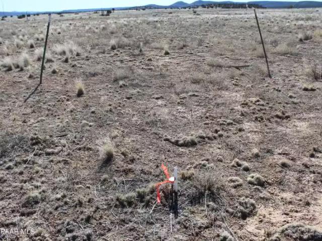 43555 Williamson Valley Rd, Seligman, AZ 86337 MLS 1071359