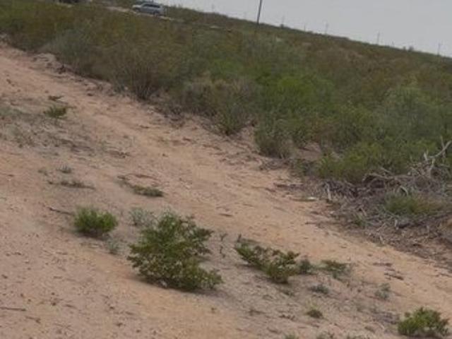 4356 W Blue Waters St, Odessa, TX 79766