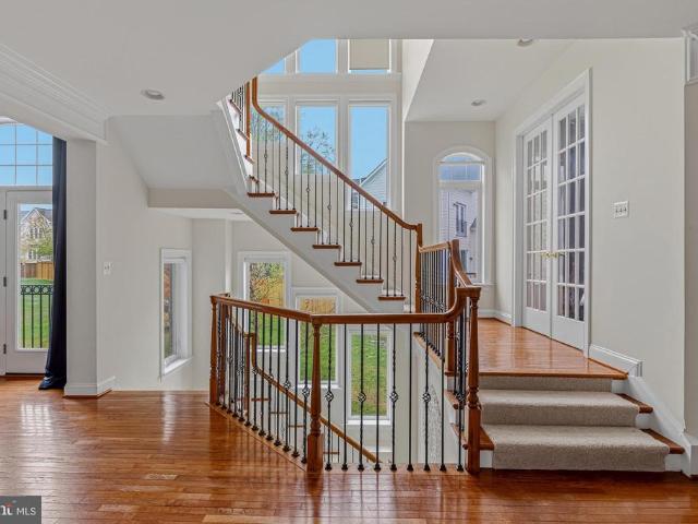 43575 Purple Aster Terrace