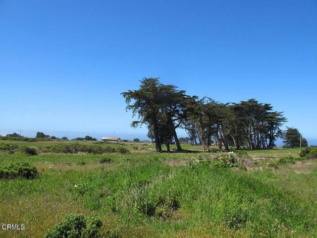 43575 Sea Cypress Drive