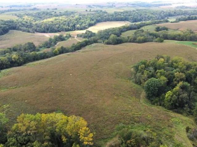 435th Ave, Bellevue, IA 52031
