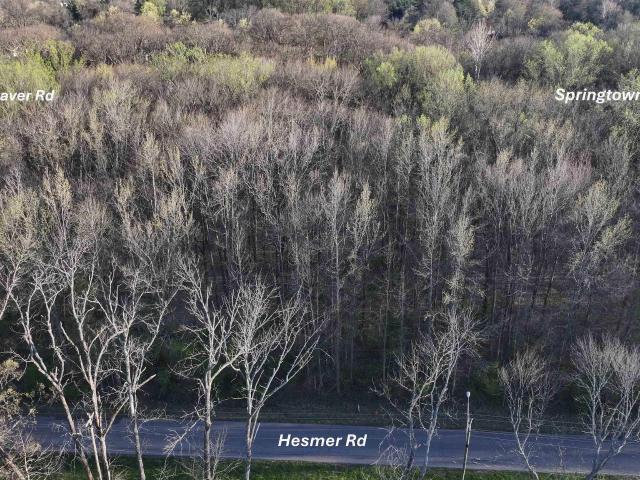 435 Hesmer Road