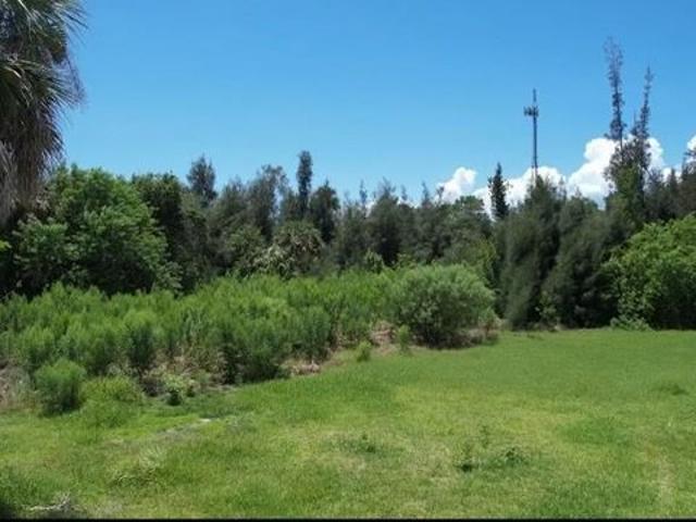 435 Orchid Dr, Punta Gorda, FL 33950