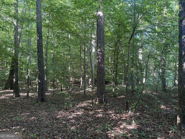 435 N Highway 27, Roopville, GA 30170