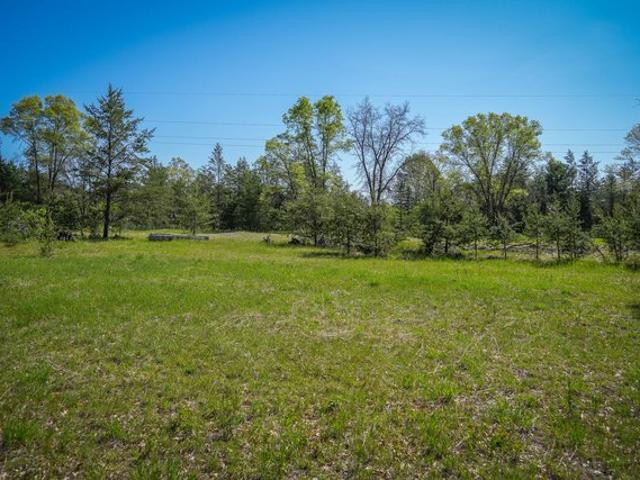 4364 W 4 Mile Rd, Irons, MI 49644