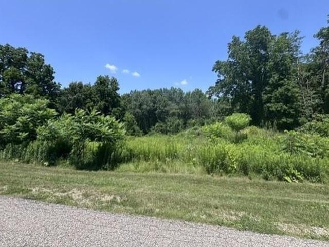 4365 English Setter Dr, Allegan, MI 49010