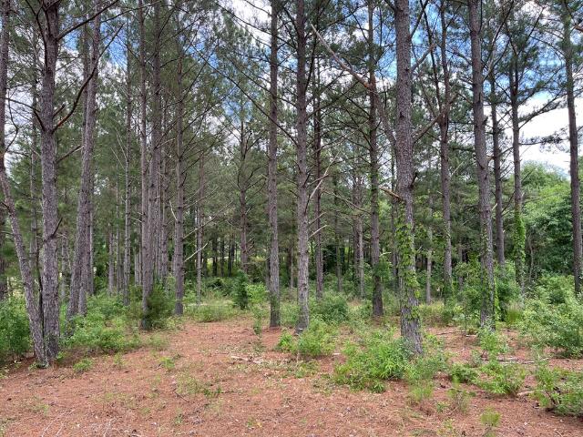 4369 County Road 73
