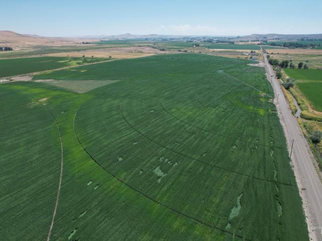 4362 John Day Highway