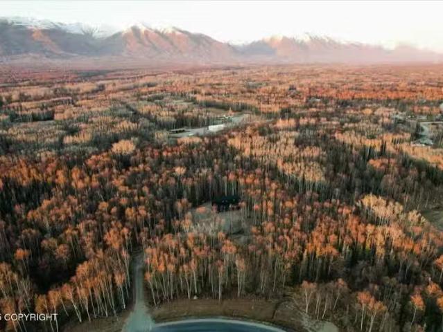 4363 E HARMAN LOOP, WASILLA, AK 99654 Vacant Land For Sale ML.