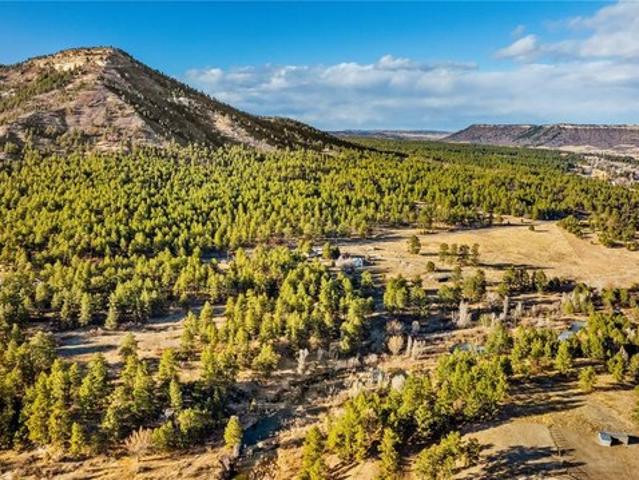436 Fox Farm Rd, Larkspur, CO 80118