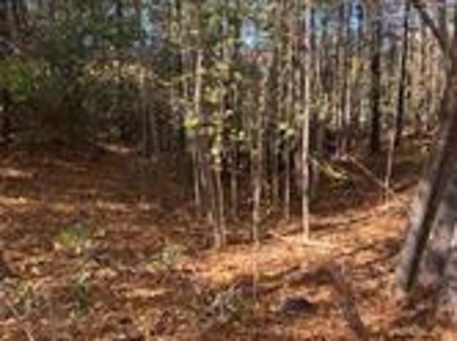 436 Sunset Point Parkway # 39