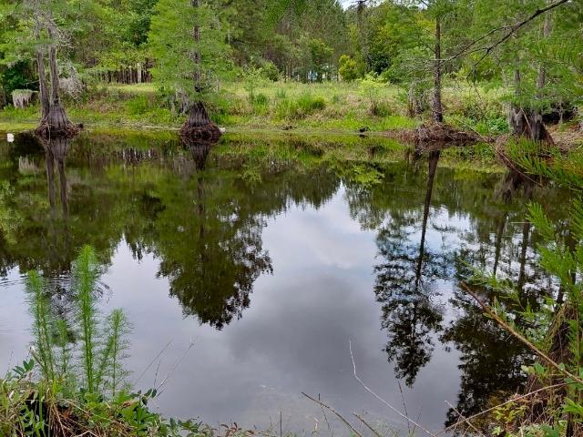 436 Russell Boulevard ACRES 21.45
