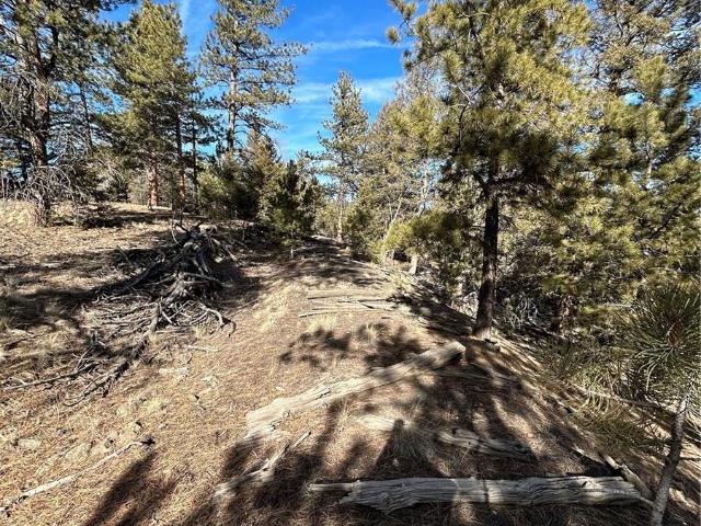 4376 Campfire Road