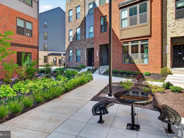 4373 Black Tulip Way # 241