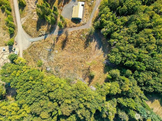 437 Black Bear Trail