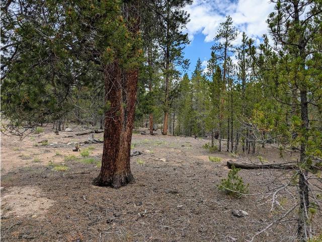 437 Juniper Dr, Twin Lakes, CO 81251 | MLS #6310