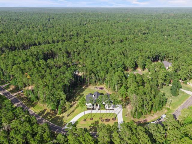 437 Sundog Road
