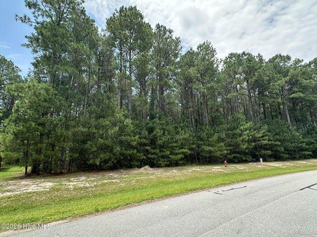 437 Riversound Dr Lot 99, Edenton, NC 27932