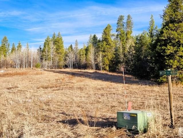 4387 E Granite Ridge, Ashton, ID 83420 | MLS #2184