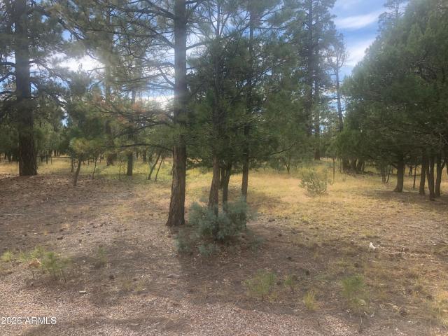 4382 jack pine place # 144