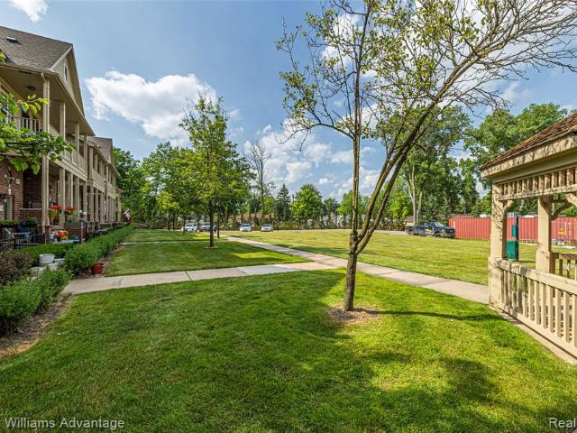 438 Old Pine Way