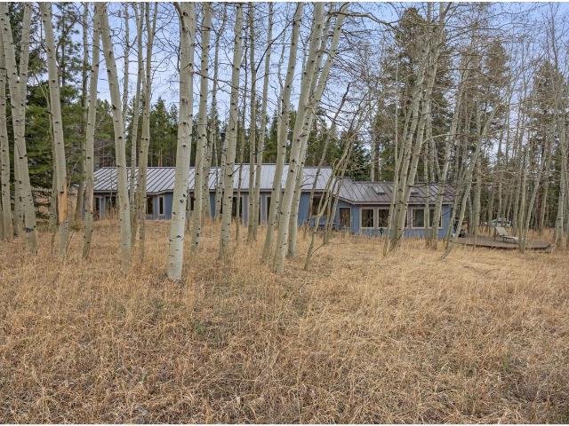438 N County Rd, Rollinsville, CO 80474 | MLS #1055 | Compass
