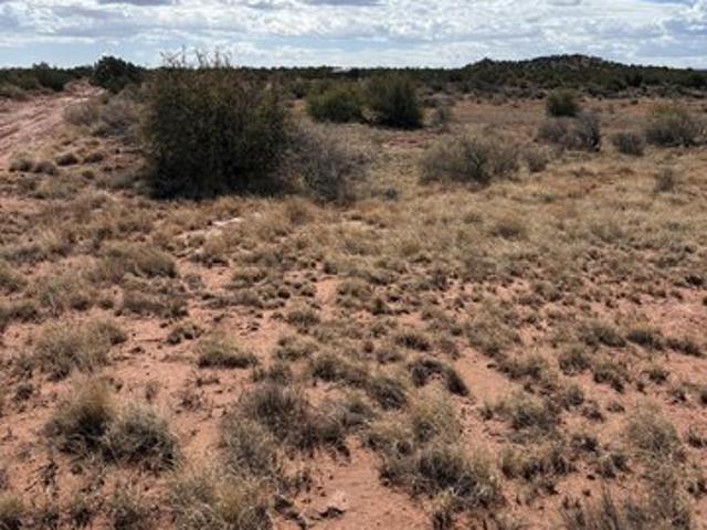 438B Yaqui Dr, Snowflake, AZ 85937