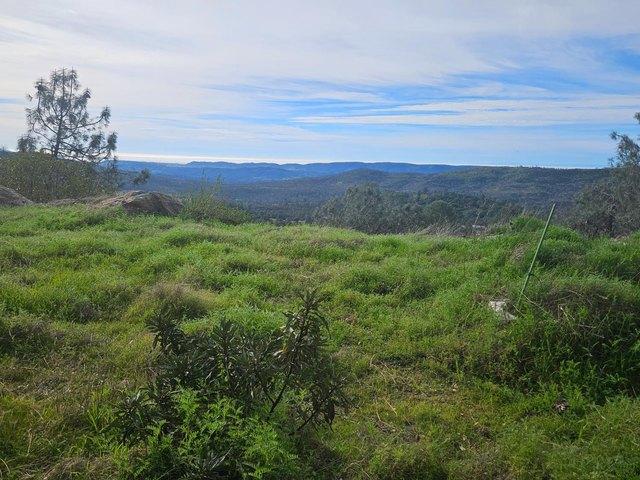 4394 Appaloosa Way, Angels Camp, CA 95222