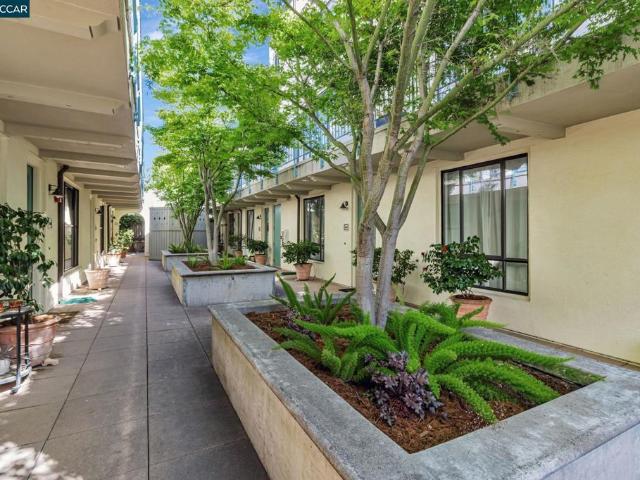 4395 Piedmont Ave P208