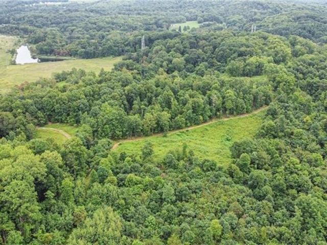 43998 Hammond School Rd, Wellsville, OH 43968