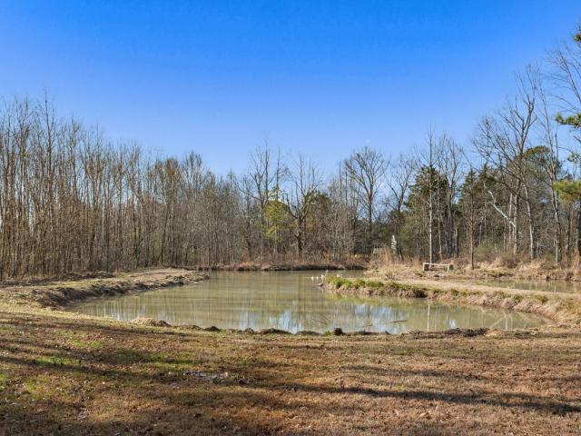 4391 Highway 225 N