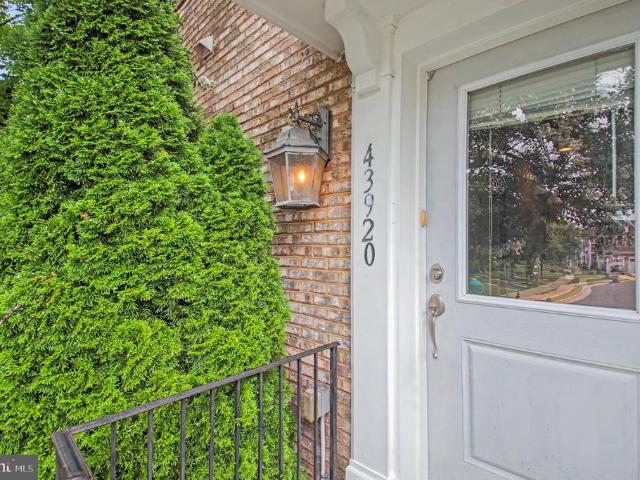 43920 Avenza Terrace