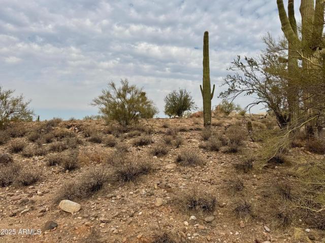 43925 N Saguaro Blossom Ln, Morristown, AZ 85342 | MLS #6801