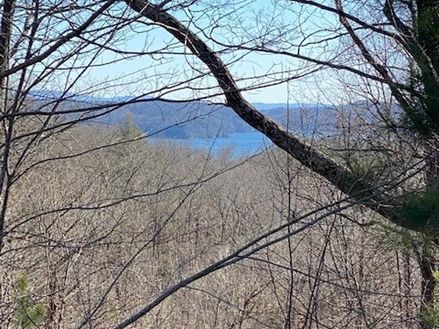 439 Buck Creek Road