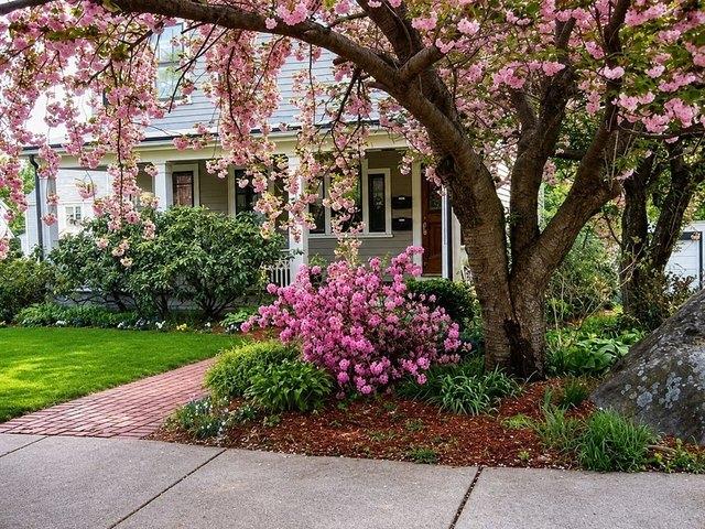 47 49 Clark St, Newton, MA 02459