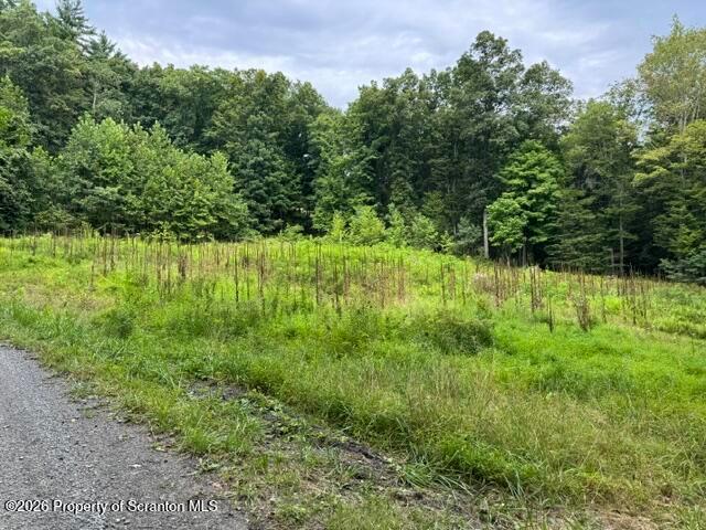 47 W Montross Road